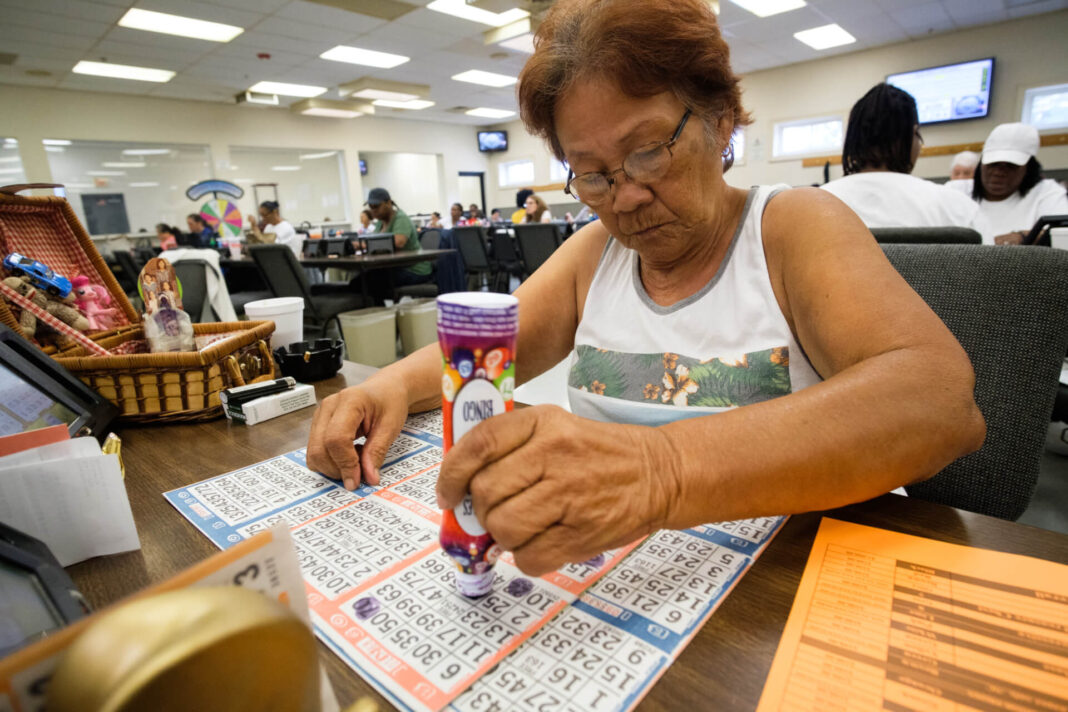 7 Reasons Playing Bingo is Good For You - Limerick Time