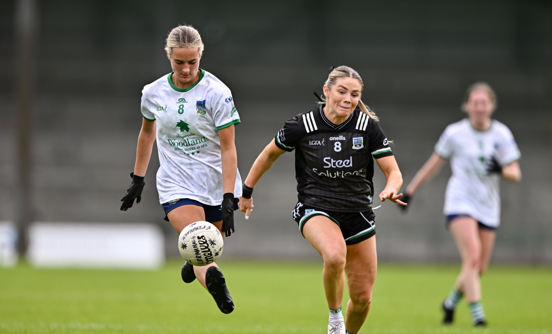 Limerick Ladies Football: A Rising Force in Irish Women’s Sports