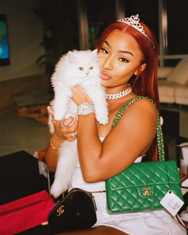 Rubi Rose Bio, Age Family, Fame, Income Sources, and Net Worth