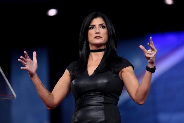 Dana Loesch Biography: Life, Career, Net Worth, Age, & More